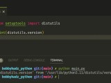 Attributeerror Module Distutils Has No Attribute Version Bobbyhadz