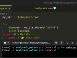 Attributeerror Str Object Has No Attribute Decode Bobbyhadz