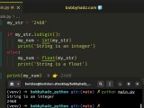 Check If A Number Is An Integer Or Float In Python Bobbyhadz