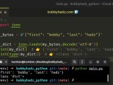 Python Json Load Bytes
