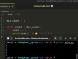 Counter In For Loop Python