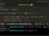Create A File Name Using Variables In Python Bobbyhadz