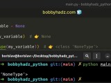 Python Declaring A Variable Without Assigning It A Value Bobbyhadz