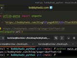 How To Decode Url And Form Parameters In Python Bobbyhadz