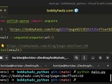 How To Decode Url And Form Parameters In Python Bobbyhadz