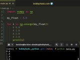 Typeerror Float Object Cannot Be Interpreted As An Integer Bobbyhadz