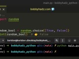 Generate Random Boolean True Or False Values In Python Bobbyhadz