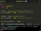 Generate Random Bytes Or Random Hex String In Python Bobbyhadz