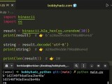 Generate Random Bytes Or Random Hex String In Python Bobbyhadz
