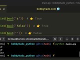 Taking User Input Boolean True False Values In Python Bobbyhadz