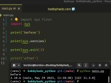 Nameerror Name Sys Is Not Defined In Python Solved Bobbyhadz