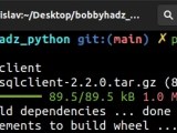 Modulenotfounderror No Module Named Configparser Python Bobbyhadz