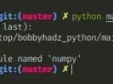 Modulenotfounderror No Module Named Numpy In Python Bobbyhadz