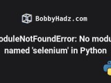 Modulenotfounderror No Module Named Selenium In Python Bobbyhadz