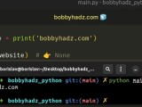 How To Print The Output Of A Function In Python Bobbyhadz