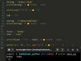 How To Print A Tab In Python Bobbyhadz