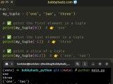 How To Print Tuple S Elements In Python Bobbyhadz