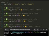 How To Print Tuple S Elements In Python Bobbyhadz