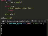 How To Read A File Character By Character In Python Bobbyhadz