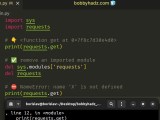 How To Remove An Imported Module In Python Bobbyhadz