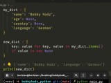 Python Dict Remove None