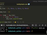 How To Remove The None Values From A List In Python Bobbyhadz