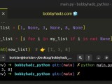How To Remove The None Values From A List In Python Bobbyhadz