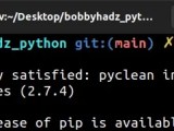 Remove Pycache Folders And Pyc Files In Python Project Bobbyhadz