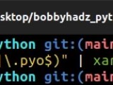 Remove Pycache Folders And Pyc Files In Python Project Bobbyhadz