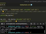 How To Remove Ufeff From A String In Python Bobbyhadz