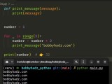 How To Call A Function N Times In Python Bobbyhadz
