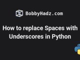 How To Replace Spaces With Underscores In Python Bobbyhadz