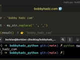 How To Replace Spaces With Underscores In Python Bobbyhadz