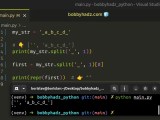 Python String Split Last