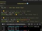 How To Split A String By Whitespace In Python Bobbyhadz