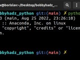 Syntaxerror Break Outside Loop In Python Solved Bobbyhadz