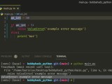 Syntaxerror Break Outside Loop In Python Solved Bobbyhadz