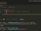 Syntaxerror Break Outside Loop In Python Solved Bobbyhadz