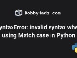 Syntaxerror Invalid Syntax When Using Match Case In Python Bobbyhadz