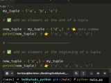 Insert Append An Element Into A Tuple In Python Bobbyhadz