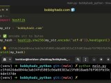 Typeerror Strings Must Be Encoded Before Hashing Python Bobbyhadz
