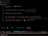 Unicodedecodeerror Ascii Codec Can T Decode Byte Solved Bobbyhadz