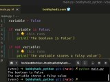 Python If Boolean Expressions