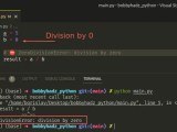 Python Dividing By Zero
