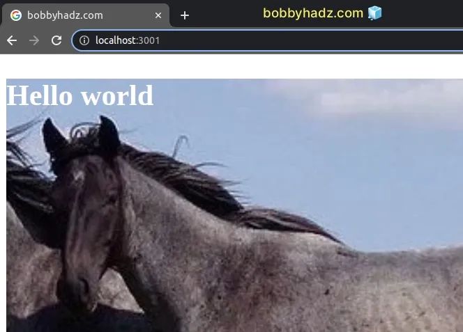 Setting a background image with inline Styles in React | bobbyhadz