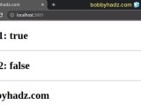 How To Render A Boolean Value In Jsx In React Bobbyhadz