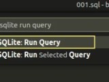 How To Open View And Query Sqlite In Vs Code Bobbyhadz