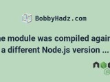 The Module Was Compiled Against A Different Node Js Version Using Node