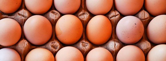 How to Make Your Organization Anti-Fragile - Blogging on Business