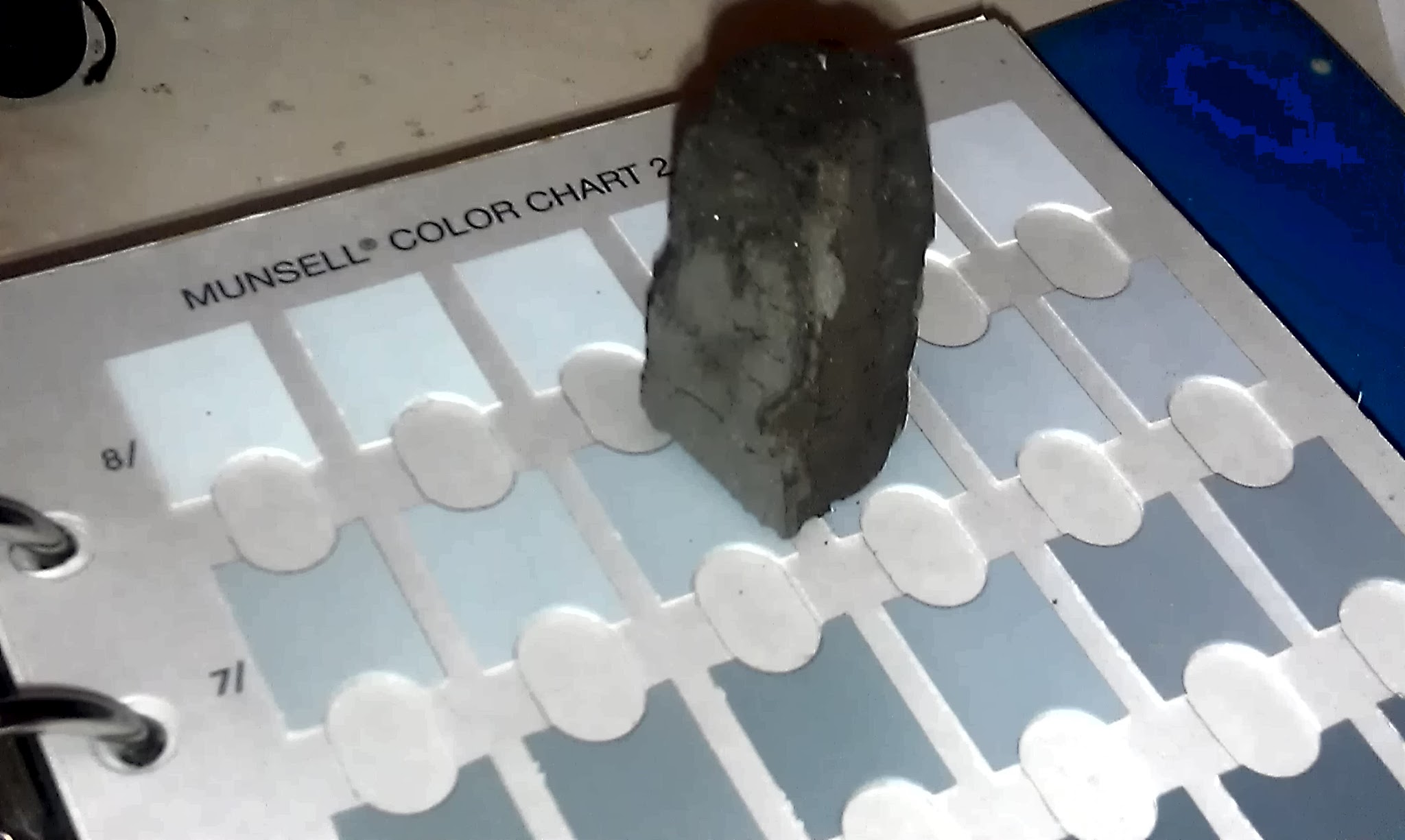 The secret world of swamp mud - Boing Boing